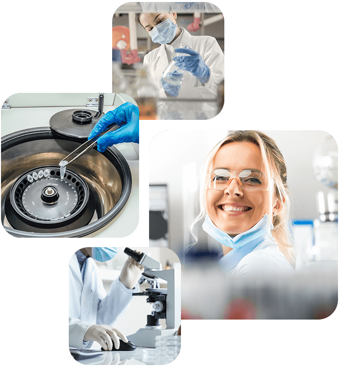 Monarch Biotech Private Limited – Leading Food Analysis Lab in Chennai