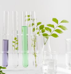 Monarch Biotech Private Limited – Leading Food Analysis Lab in Chennai