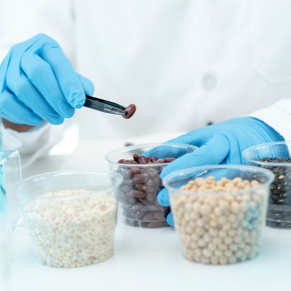 Biological Testing – Monarch Biotech Private Limited